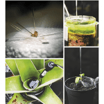 Unisense - Microsensors, electrodes, lab and field systems